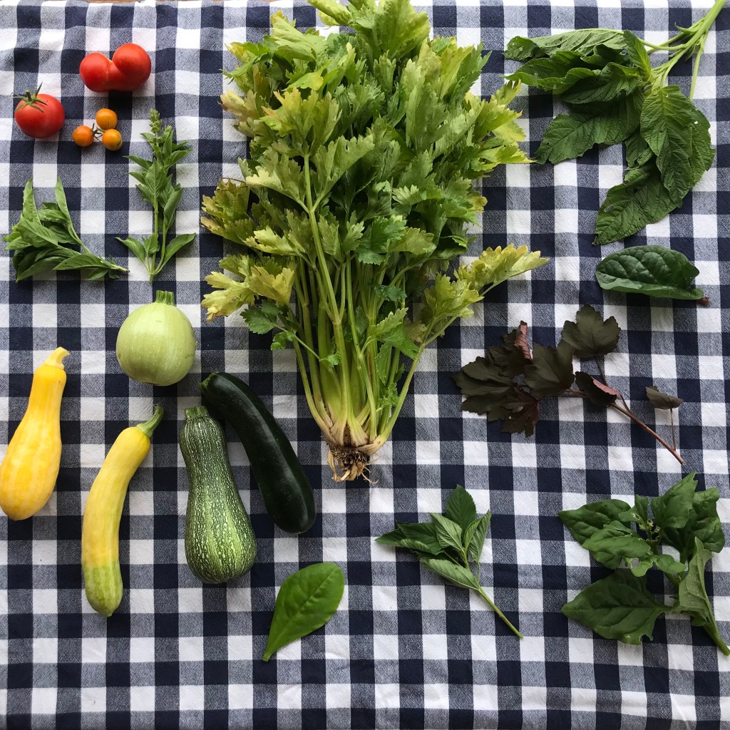Good Soil Farm LLC – a Catholic regenerative agriculture CSA farm